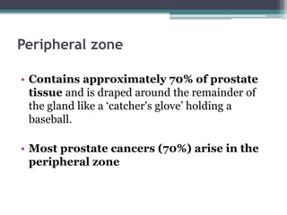 Imaging in prostatic patholgy | PPTX