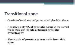 Imaging in prostatic patholgy | PPTX