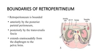 Imaging in retroperitoneum presentation. | PPTX