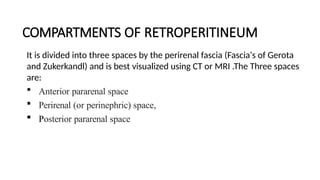 Imaging in retroperitoneum presentation. | PPTX