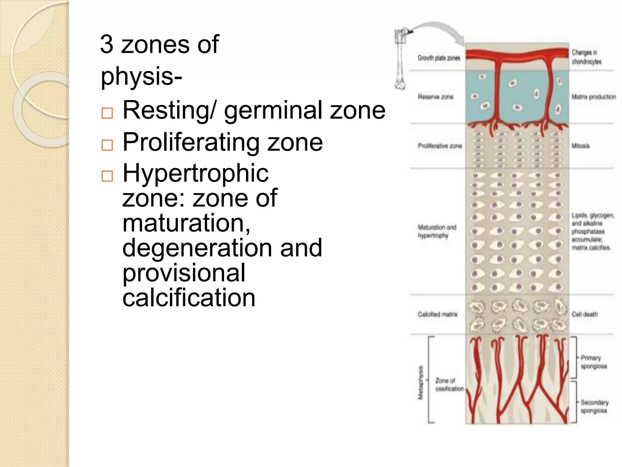 Imaging in Rickets & Scurvy.pptx