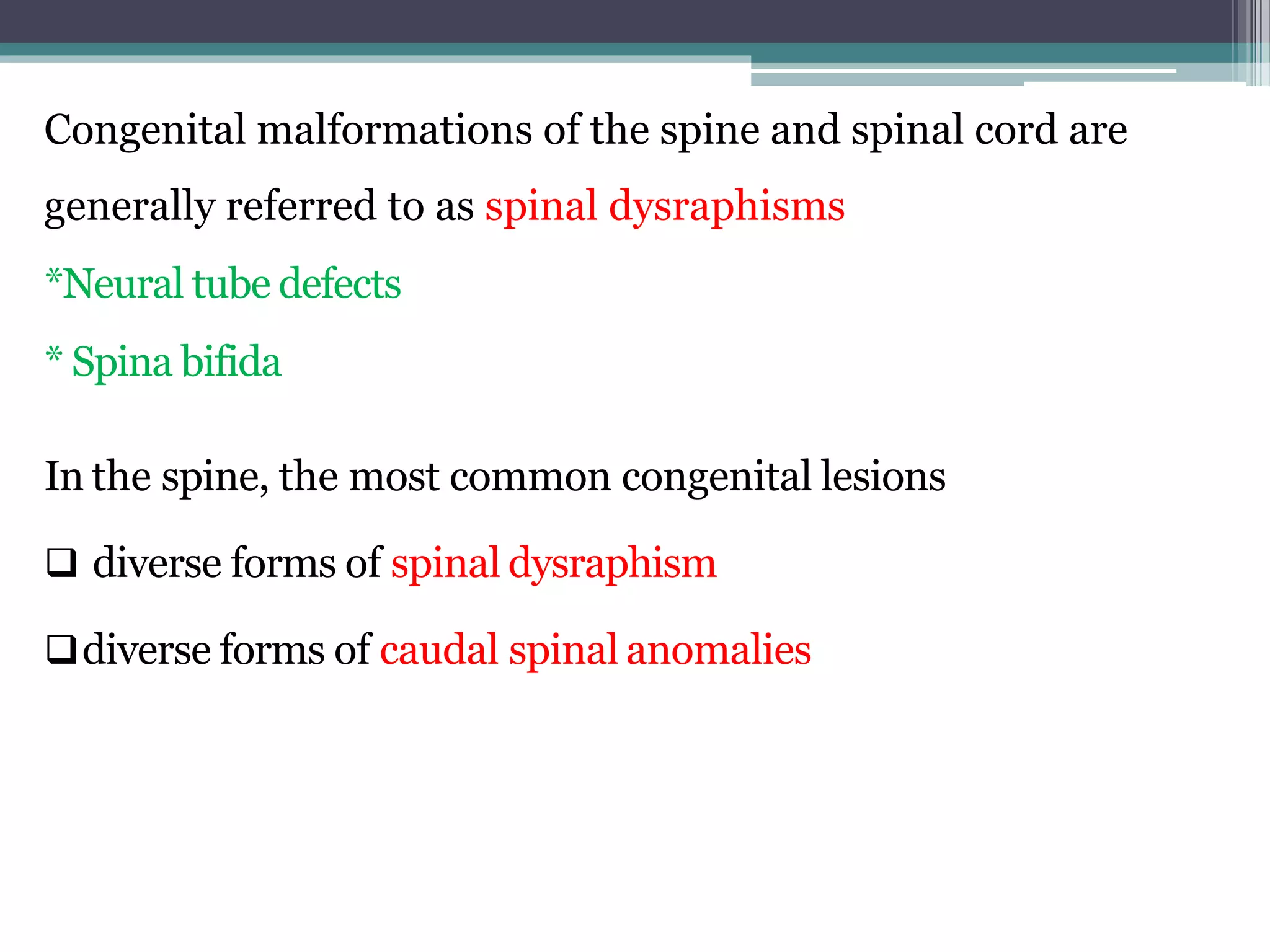 Imaging in spinal dysraphism | PPTX | Brain and Nervous System ...