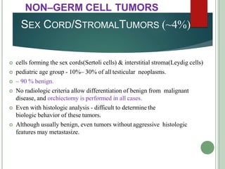 Imaging in testicular tumor | PPTX