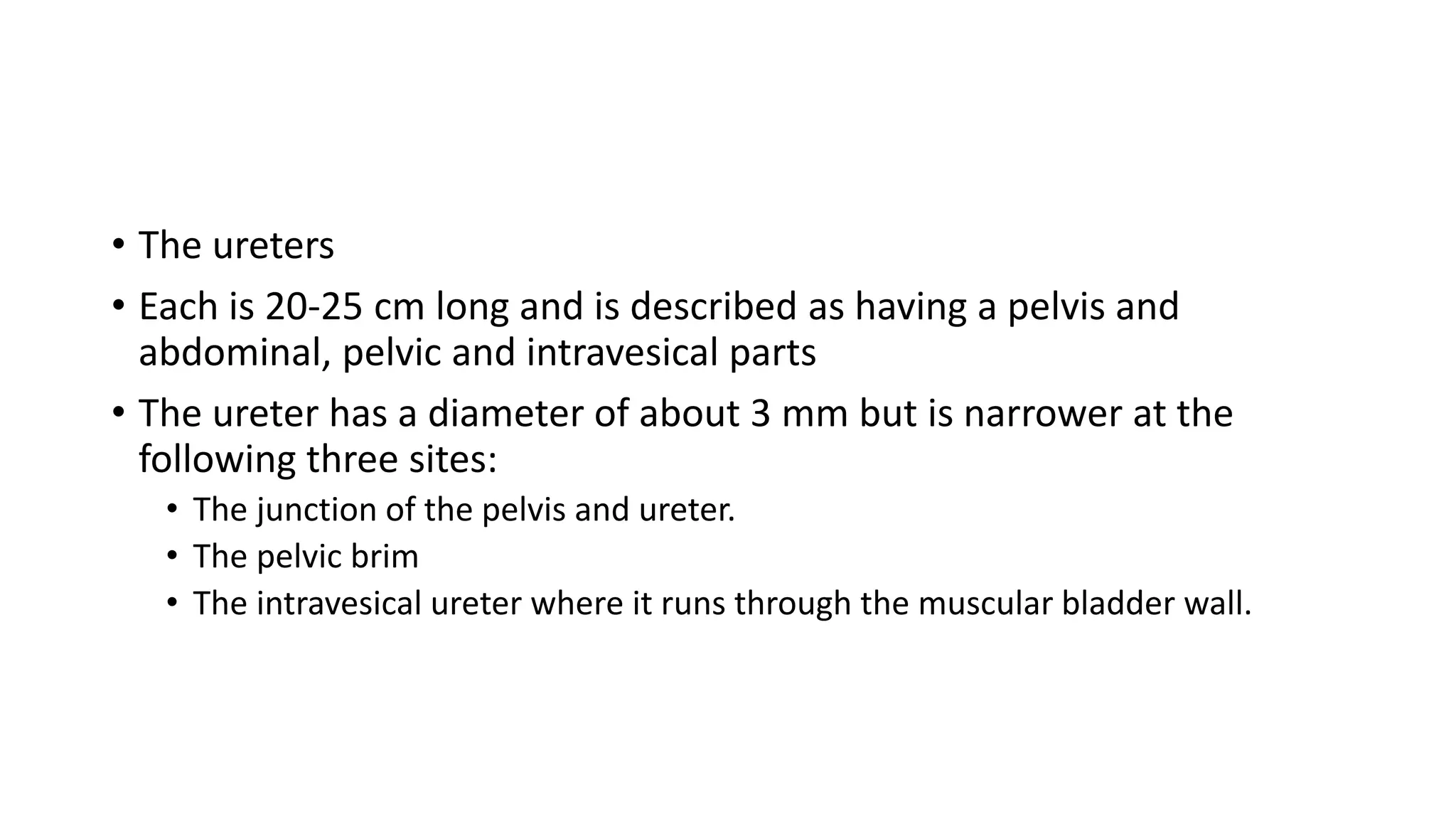 imaging in urology copy.pptx