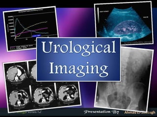 Imaging in urology: part 2 other conventional imaging | PDF