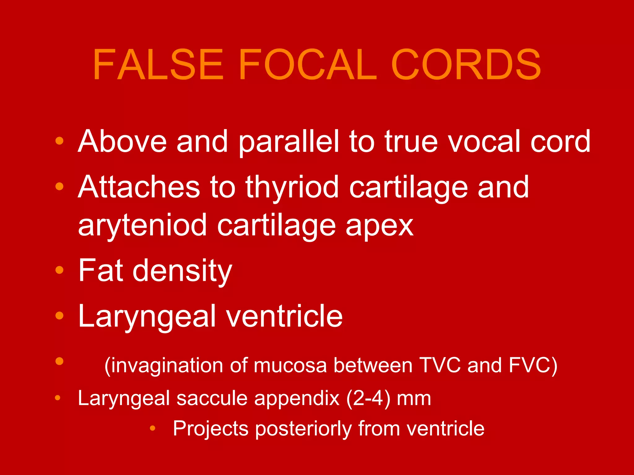 larynx Imaging 1st part laryngeal anatomy CT MRI Dr Ahmed Esawy | PDF