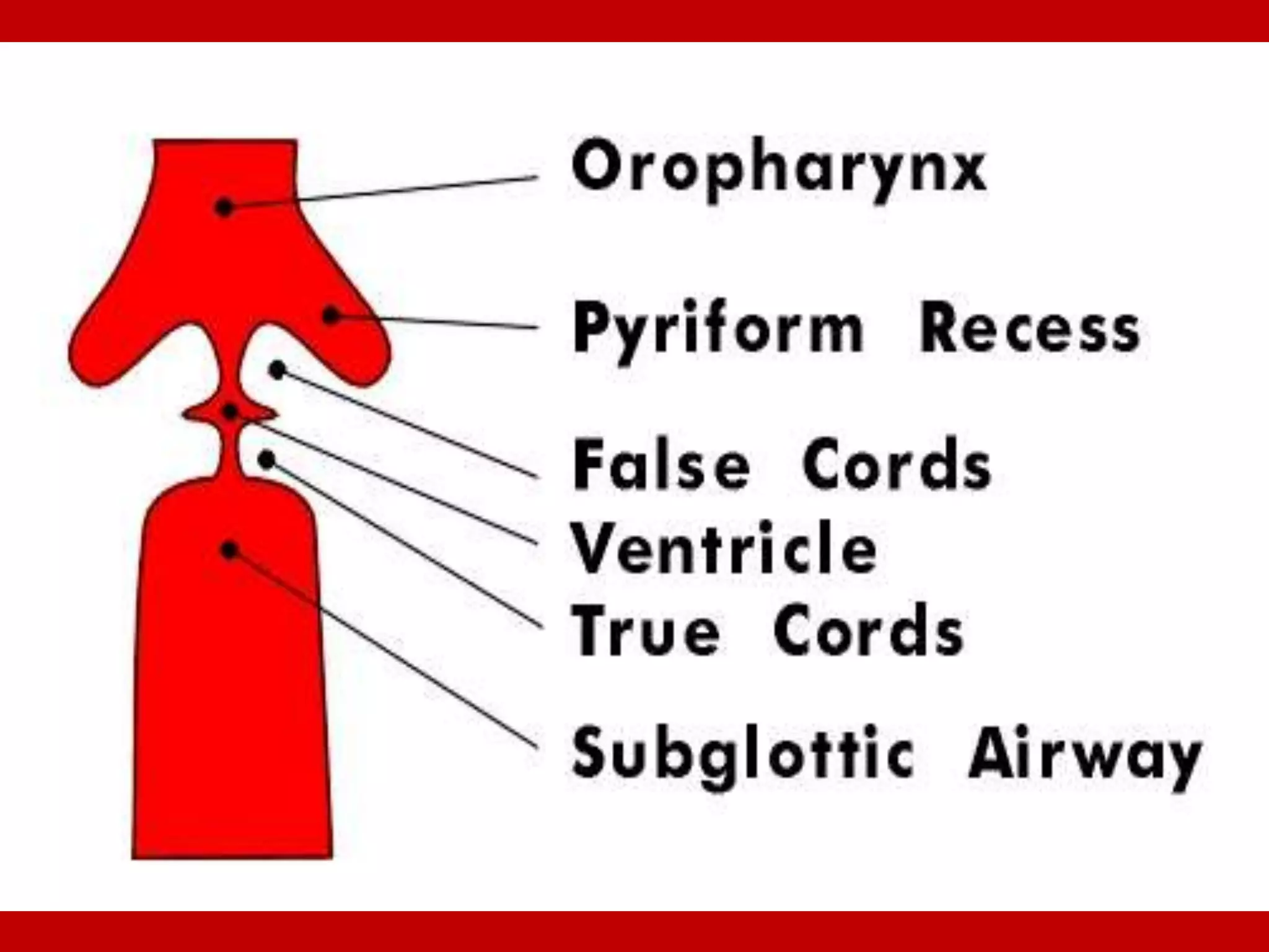 larynx Imaging 1st part laryngeal anatomy CT MRI Dr Ahmed Esawy | PDF