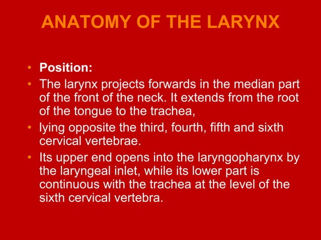 larynx Imaging 1st part laryngeal anatomy CT MRI Dr Ahmed Esawy | PDF