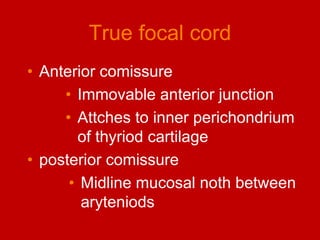 larynx Imaging 1st part laryngeal anatomy CT MRI Dr Ahmed Esawy | PDF