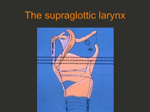 Full Story larynx Imaging CT MRI Dr Ahmed Esawy | PDF | Ear, Nose and ...