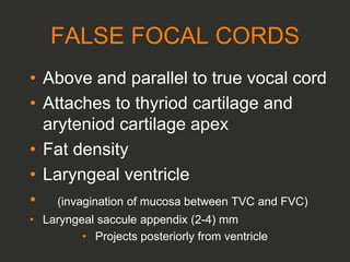 Full Story larynx Imaging CT MRI Dr Ahmed Esawy | PDF