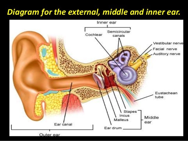 Imaging modalities of the petrous bone