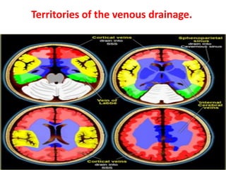 Imaging in neurology - normal MR Angio and Venography | PPTX