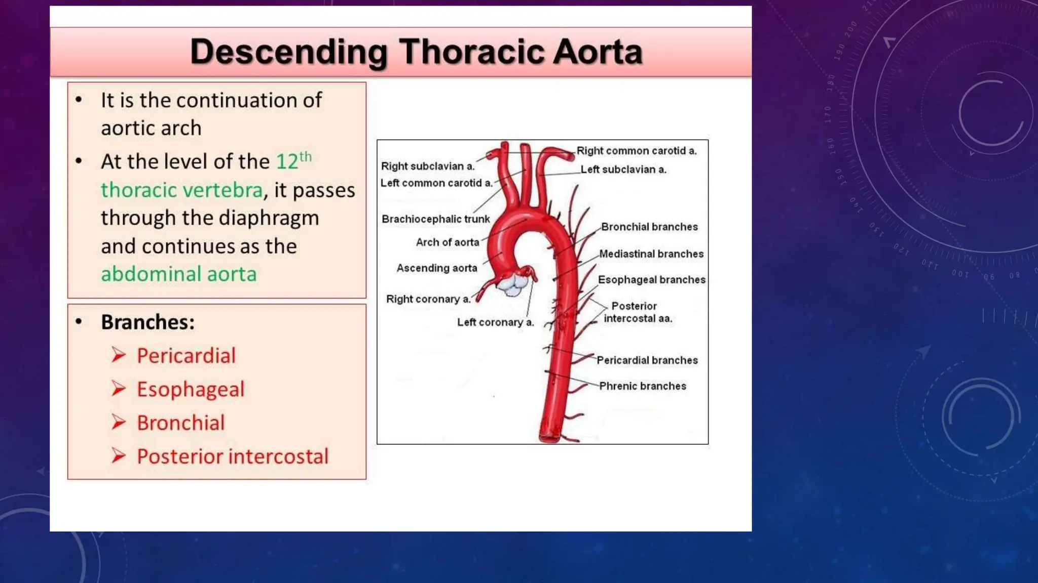 imaging of aorta(branches of thorax) (1).pptx