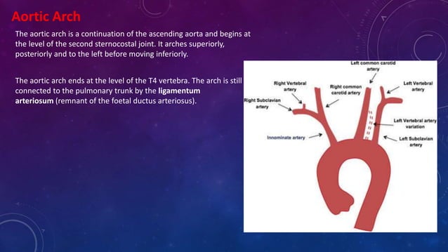 imaging of aorta(branches of thorax) (1).pptx | Heart and ...