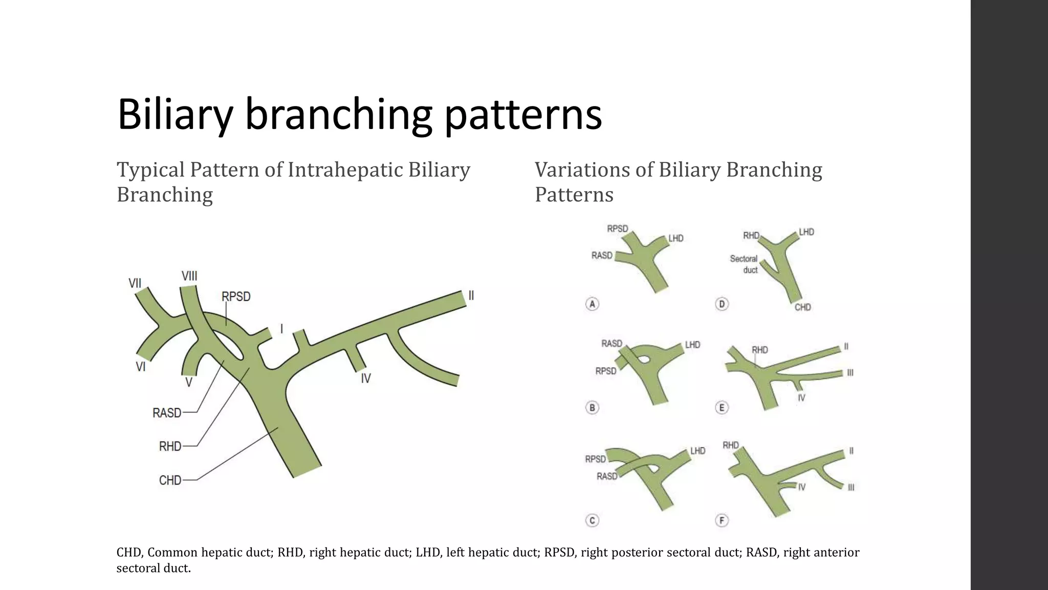 Imaging of the Biliary System and its Disorders | PPTX