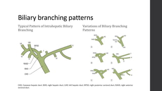 Imaging of the Biliary System and its Disorders | PPT