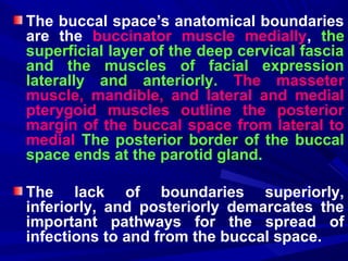 Imaging of buccal space | PPT