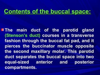 Imaging of buccal space | PPT