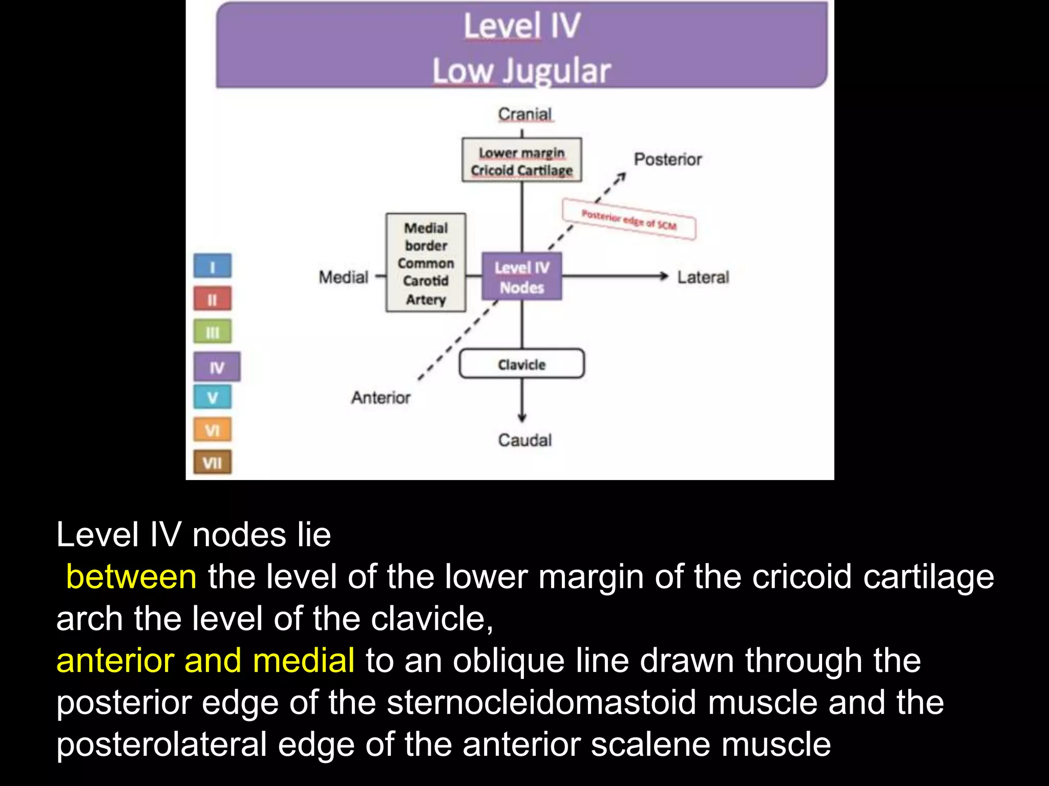 Imaging of cervical lymph nodes | PPTX