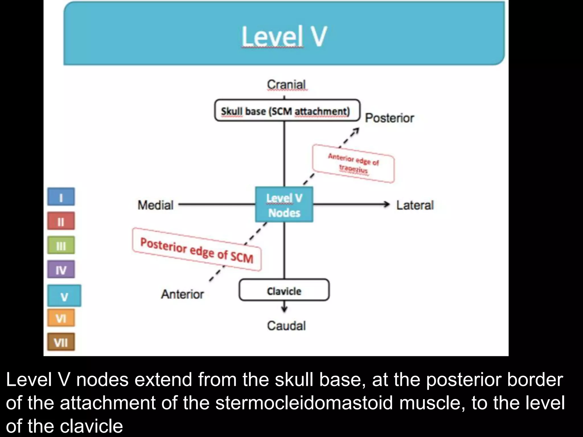 Imaging of cervical lymph nodes | PPTX
