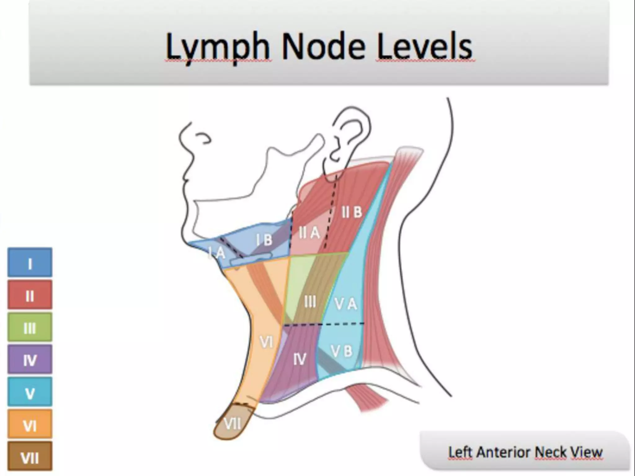 Imaging of cervical lymph nodes | PPTX