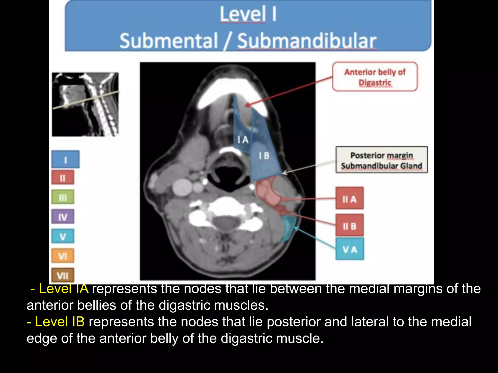 Imaging of cervical lymph nodes | PPTX