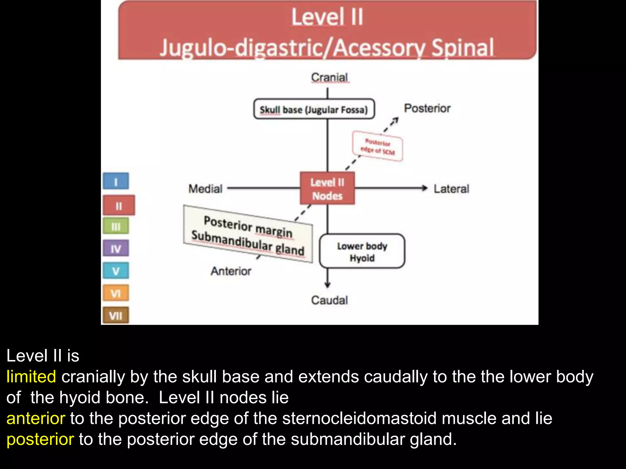 Imaging of cervical lymph nodes | PPTX