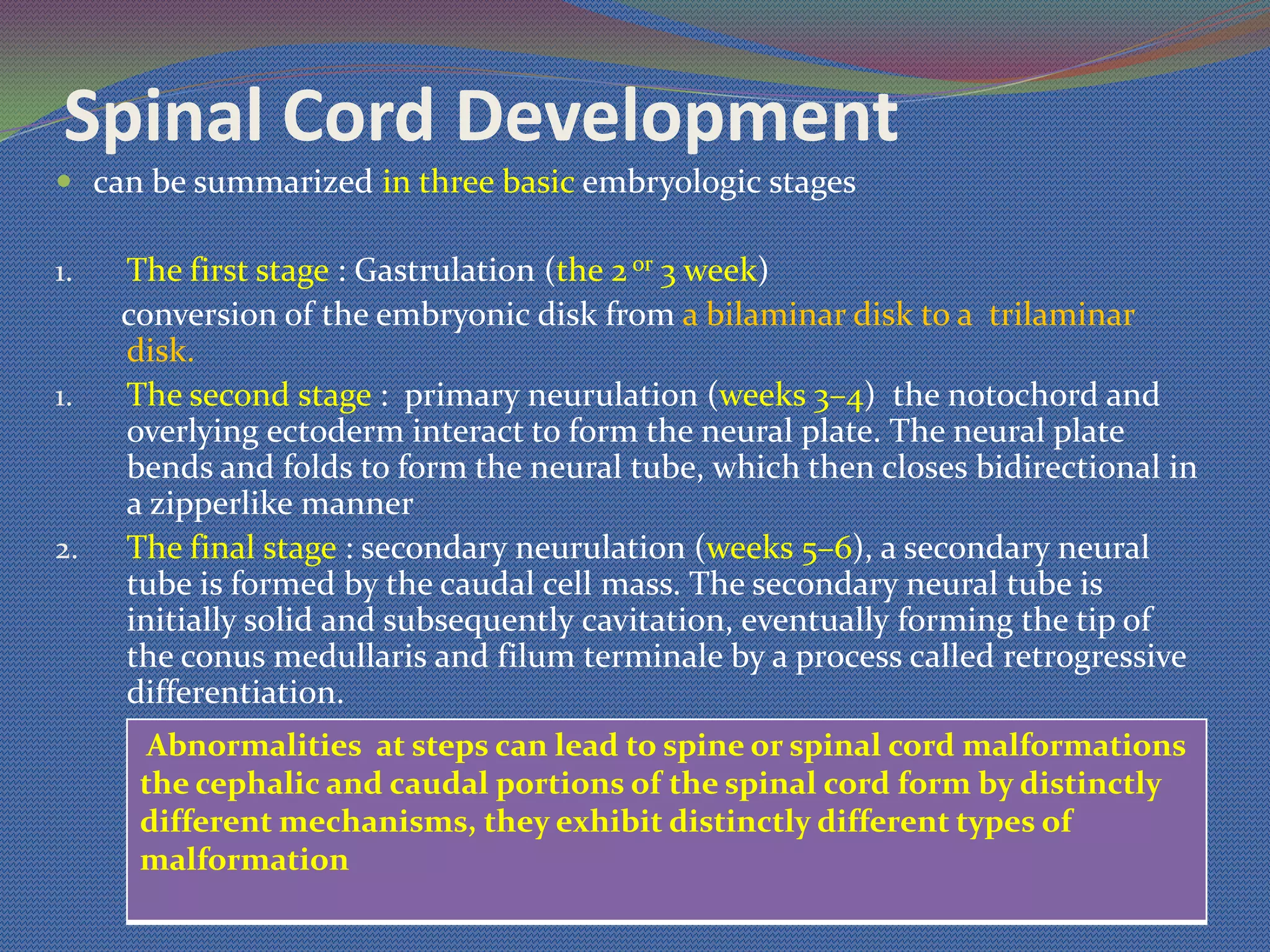 Imaging of congenital anomalies of spine and spinal cord | PPTX