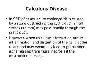 Imaging of cystic duct | PPTX