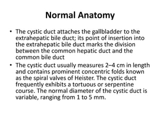 Imaging of cystic duct | PPT