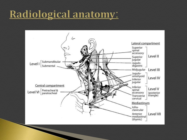Imaging of enlarged lymph node | PPTX