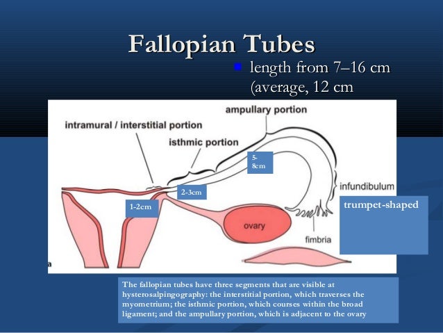 role of Imaging in female infertility