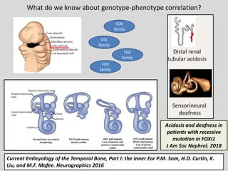 Imaging of hearing loss ESHNR 2019 cinisi | PPTX