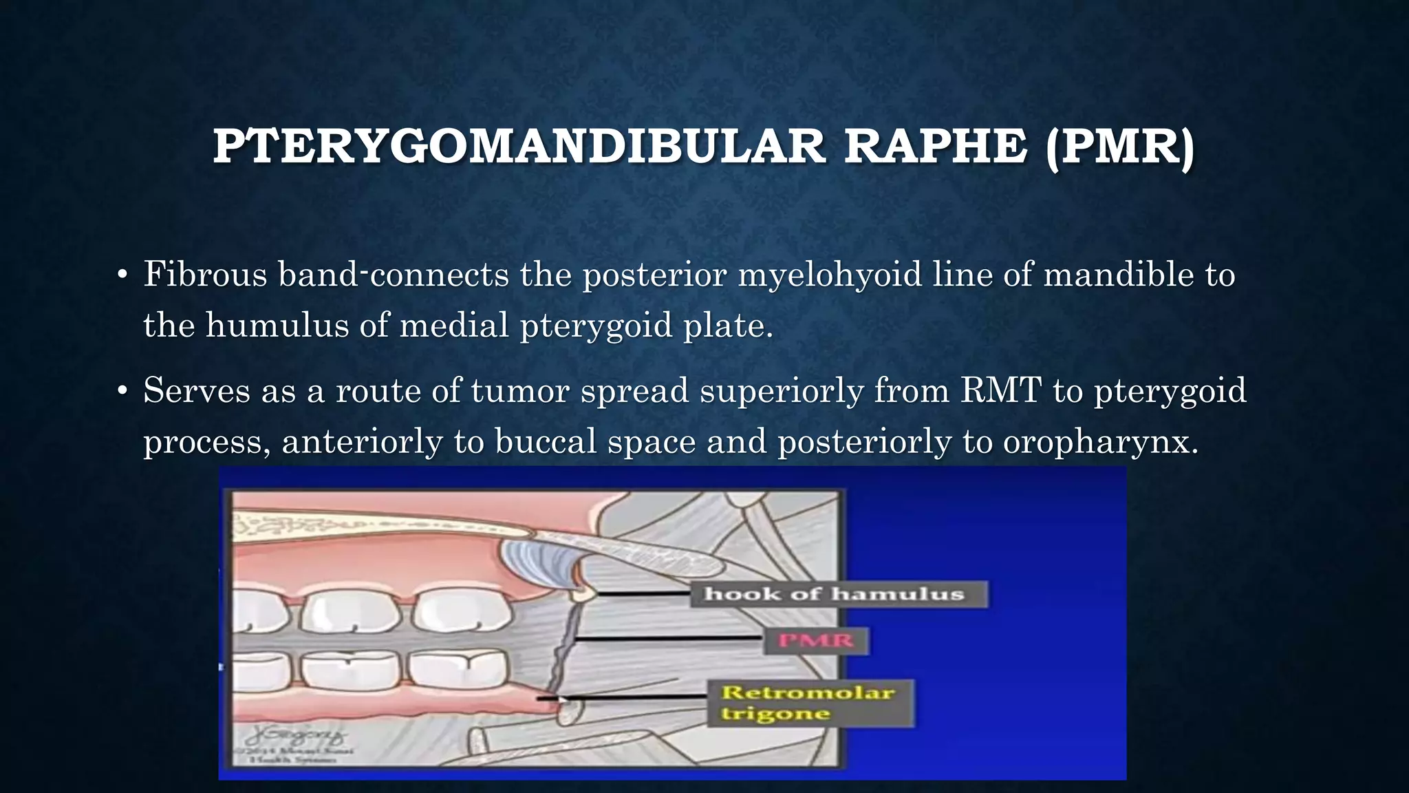 IMAGING OF ORAL CAVITY CANCER-1.pptx