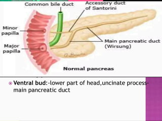 Ultrasound findings of pancreas in different medical conditions | PDF
