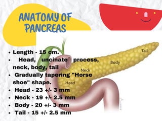 Ultrasound findings of pancreas in different medical conditions | PDF