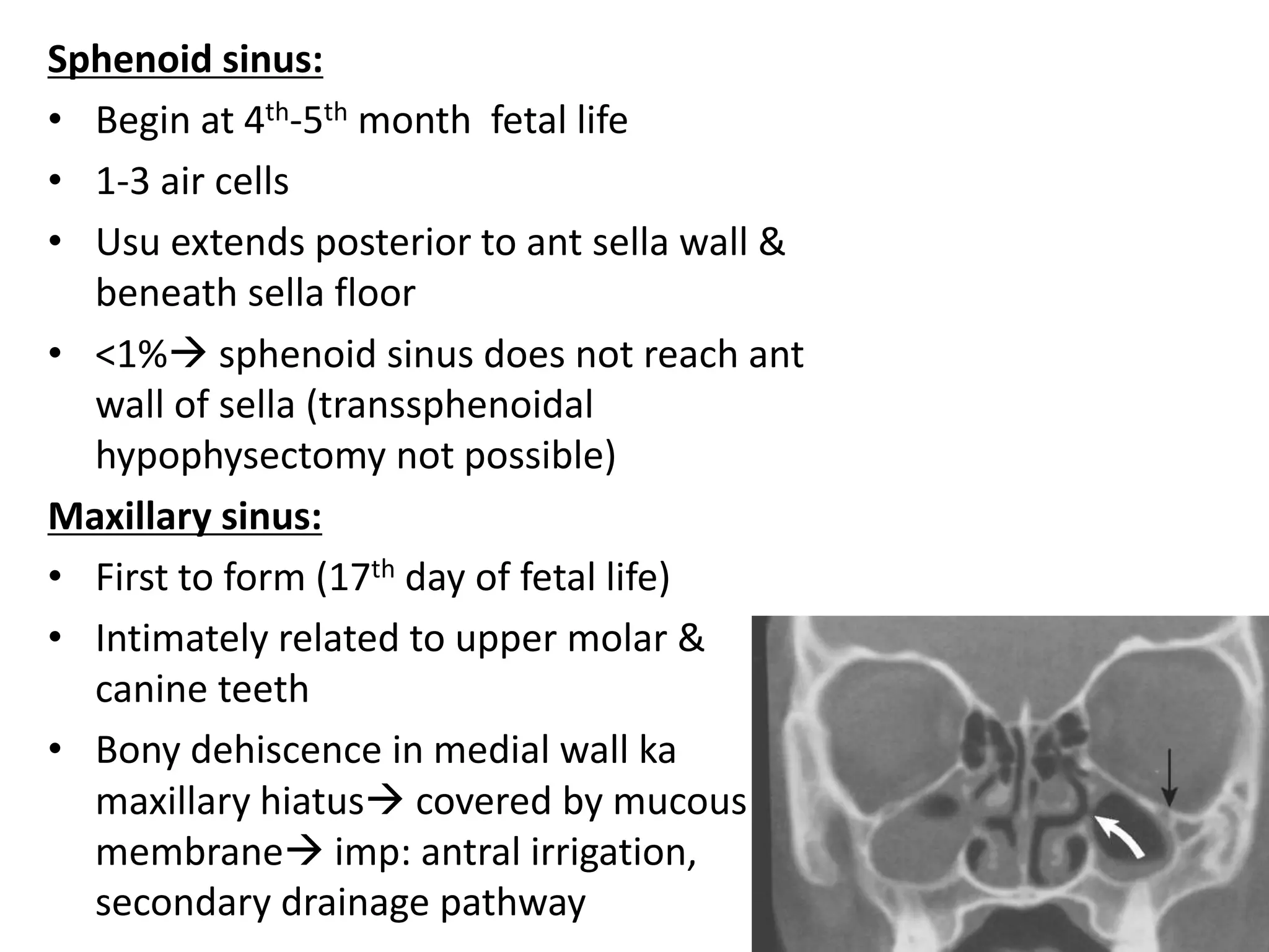 Imaging of paranasal sinuses | PPT