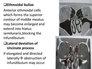 Imaging of paranasal sinuses | PPT