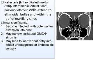 Imaging of paranasal sinuses | PPT