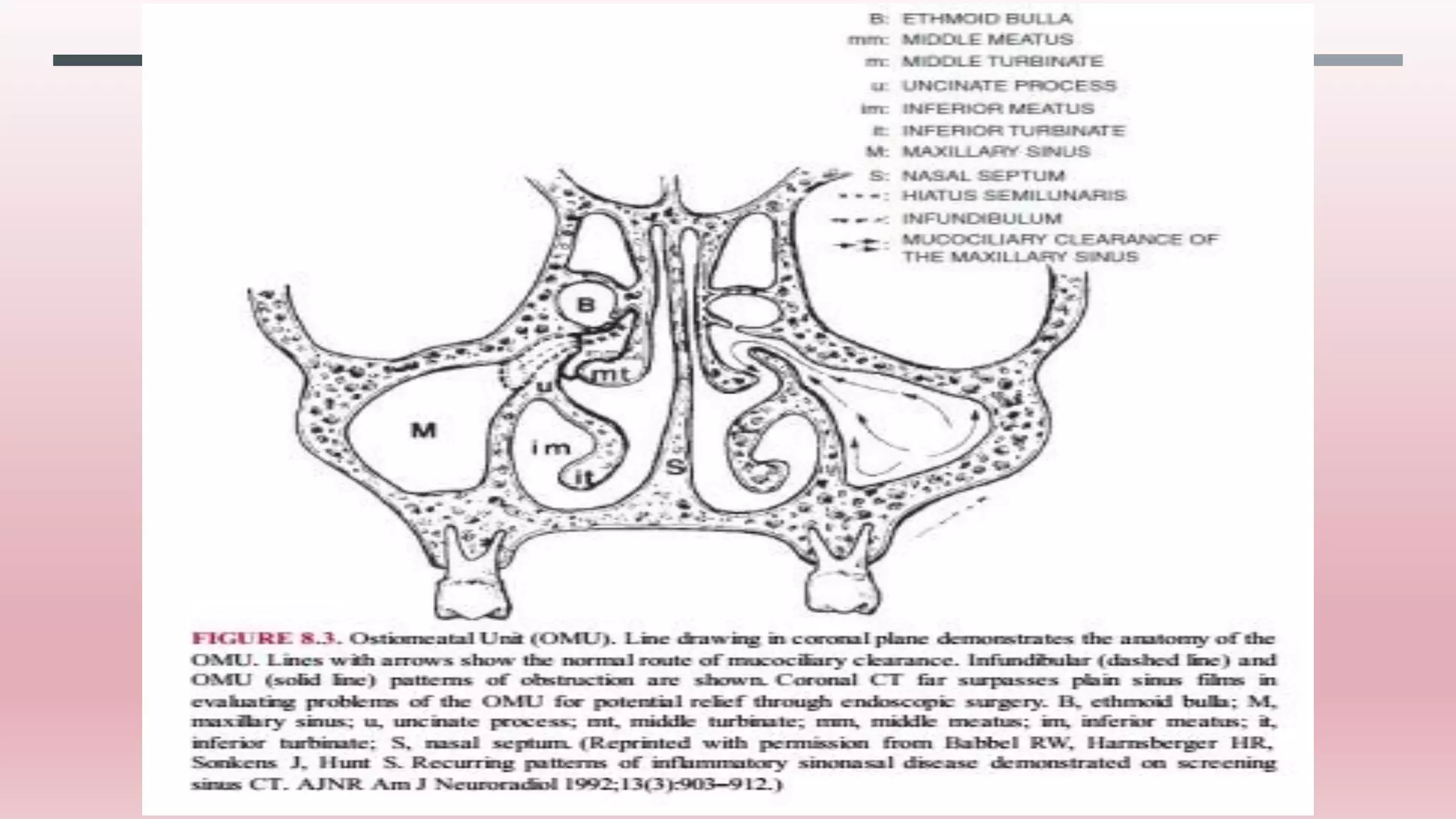 Imaging of paranasal sinuses (including anatomy and varaints)pk1 pdf ...