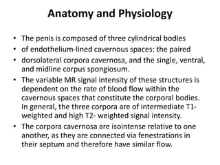 Imaging of penile tumors | PPTX