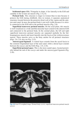 Imaging of perianal inflammatory diseases | PDF