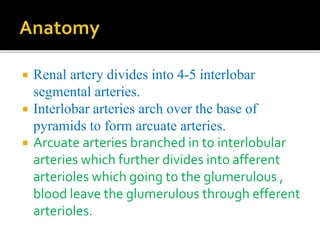 Imaging of renal hypertension | PPTX