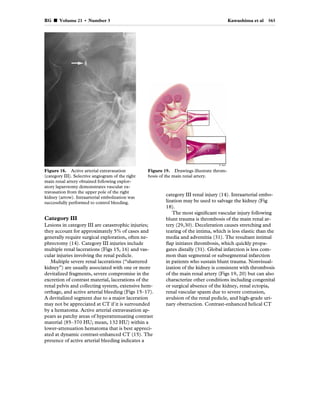 Imaging of Renal Trauma A Comprehensive Review.pdf
