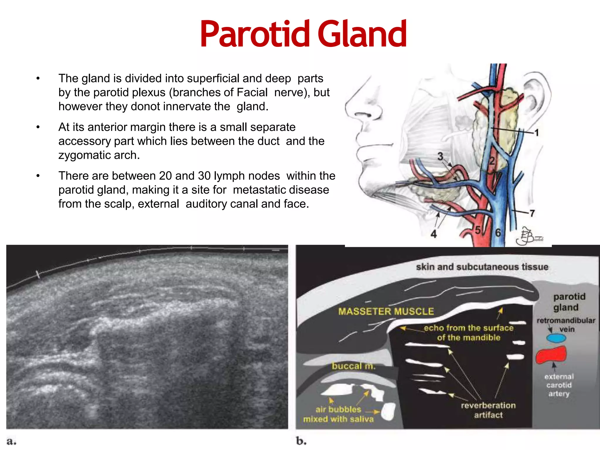 Imaging of salivary glands | PPTX