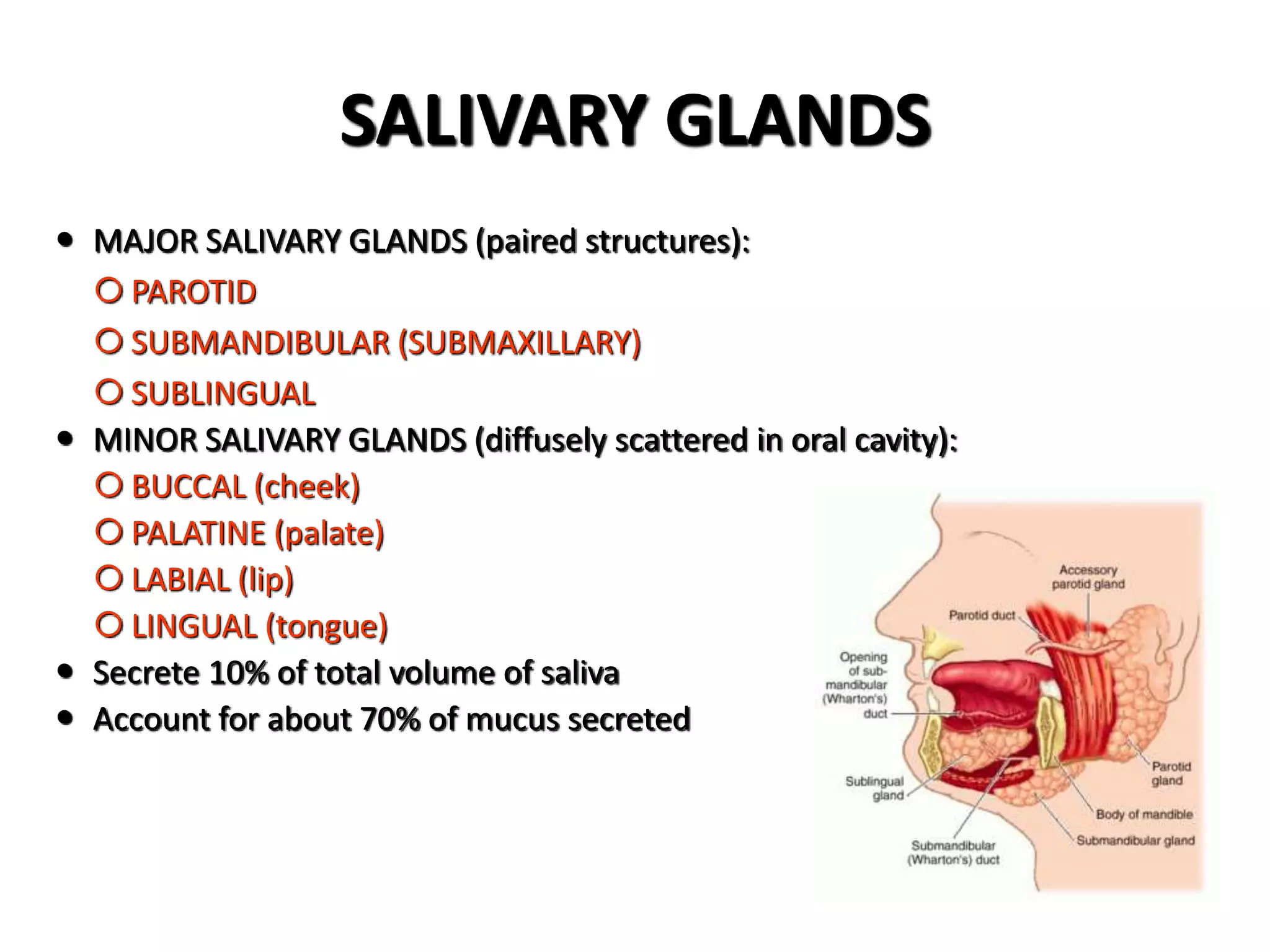 Imaging of salivary gland tumours | PPTX