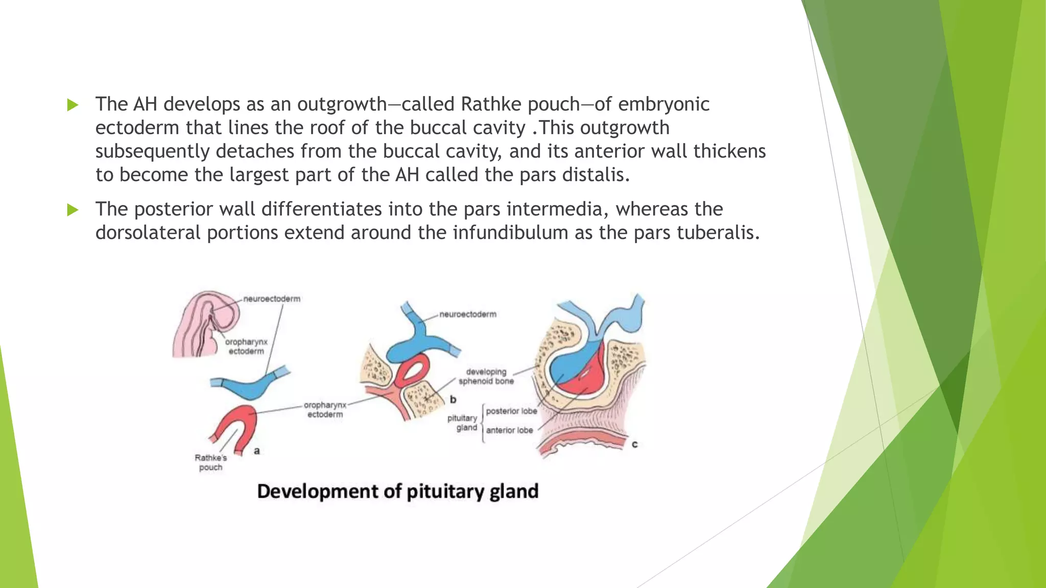 IMAGING OF SELLA AND SELLAR LESIONS MONICA.pptx