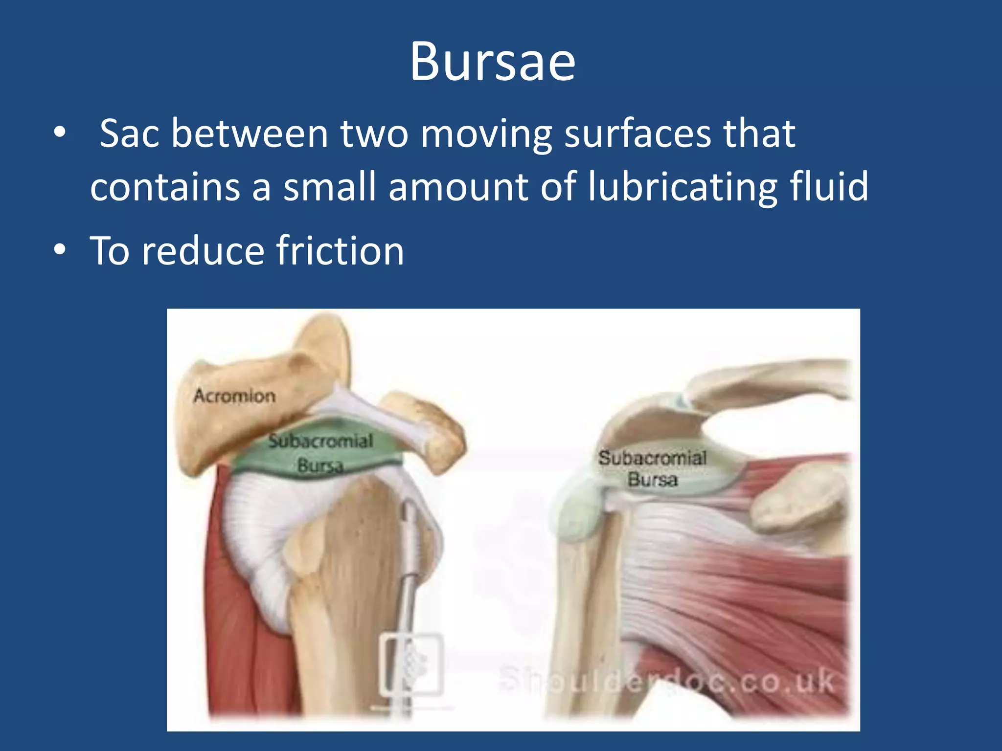 Imaging of shoulder - Dr. Vishal Sankpal | PPTX