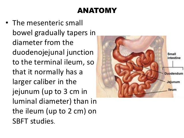 Imaging of small bowel pathology